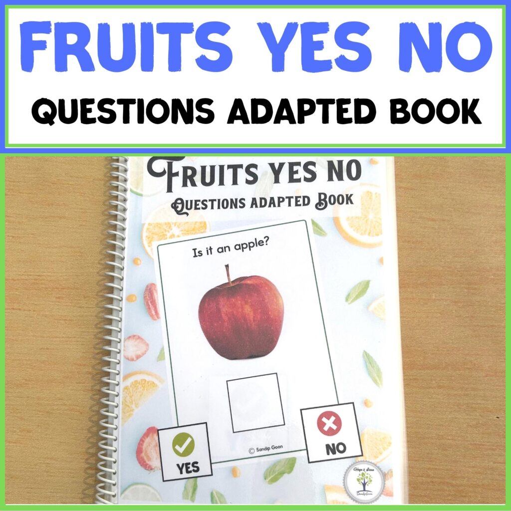 Yes No Visual for Speech Therapy - Resource For Teacher