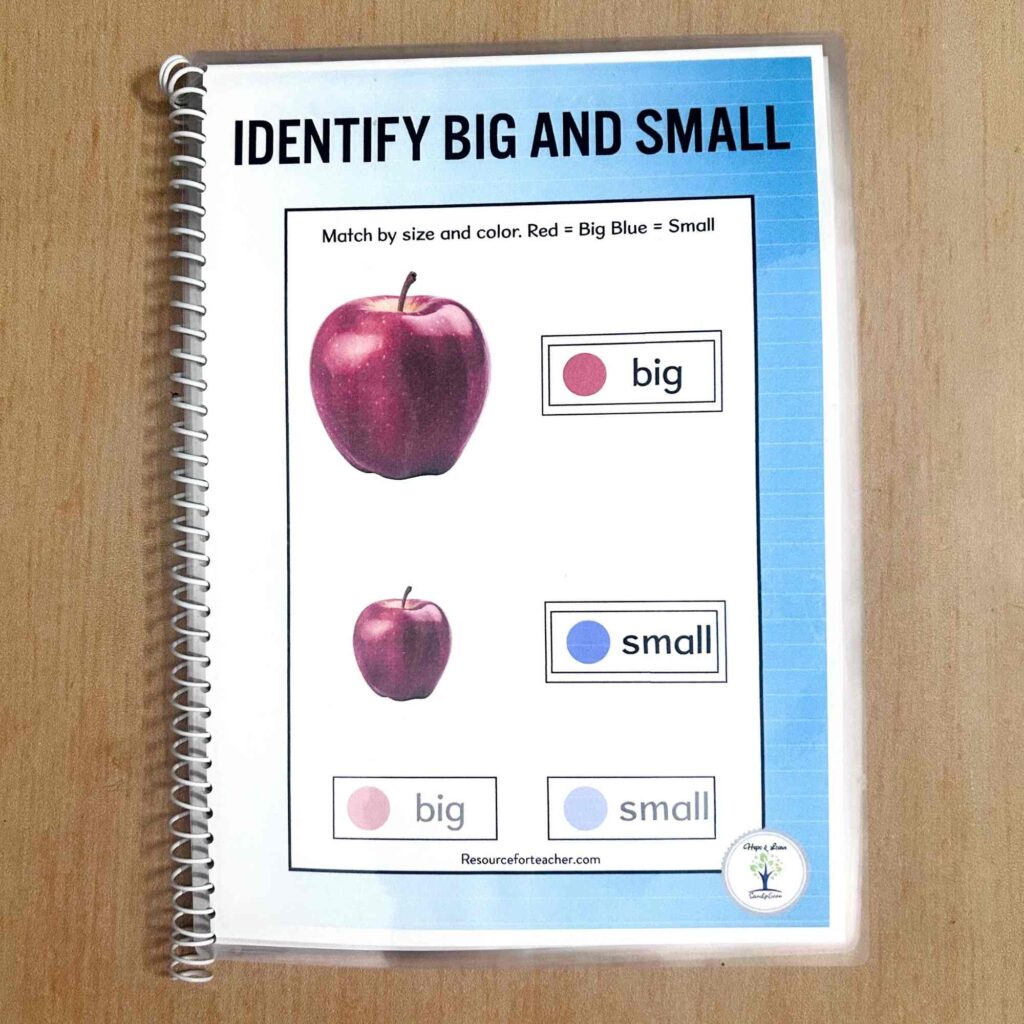 Big and Small Sorting Activities - Resource For Teacher