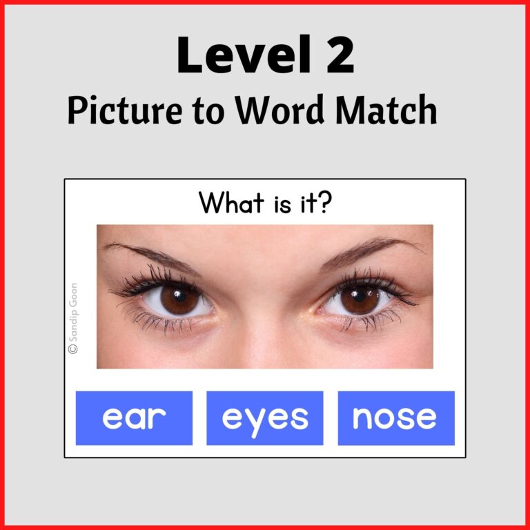 Body Parts Matching Task Cards - Resource For Teacher