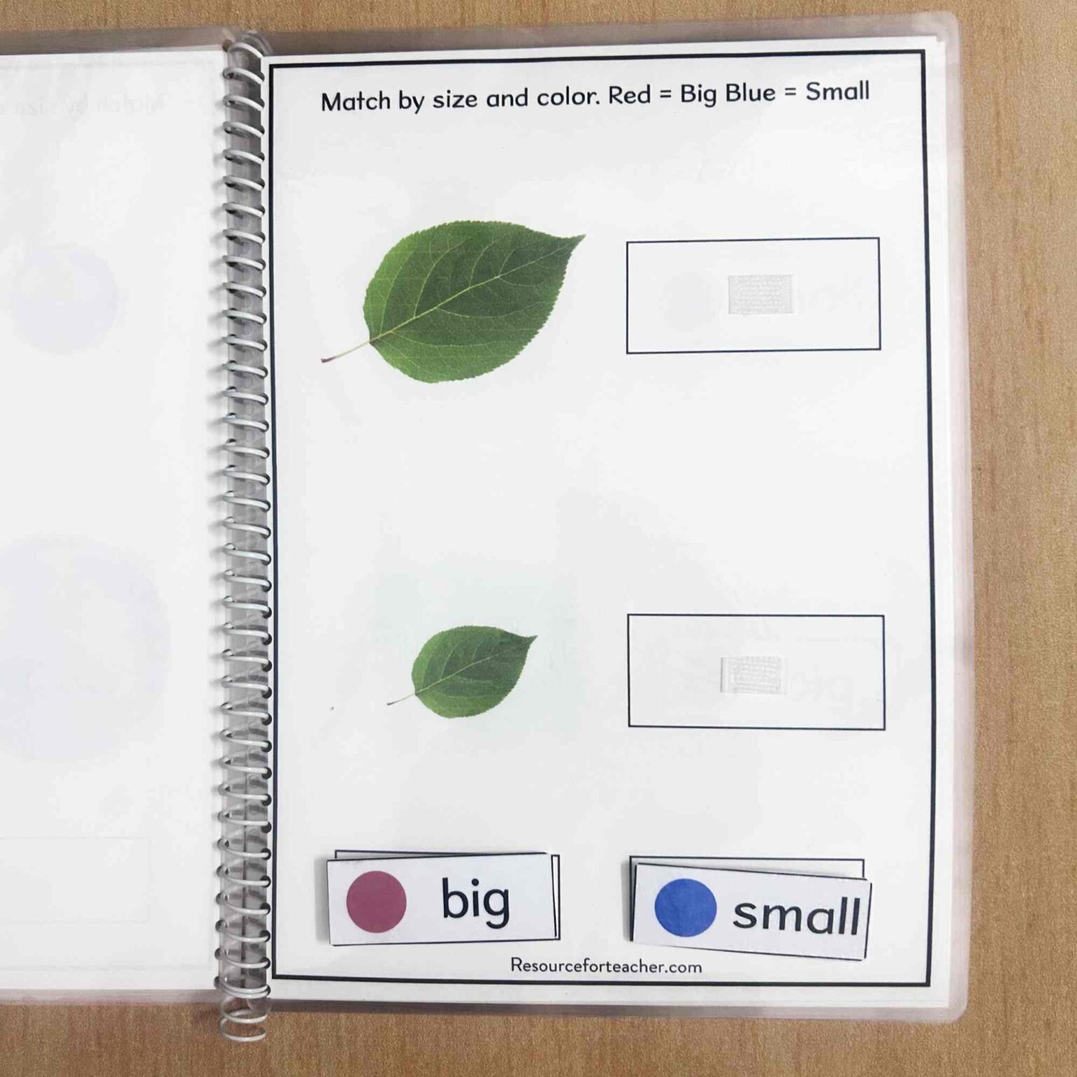 Big and Small Sorting Activities - Resource For Teacher