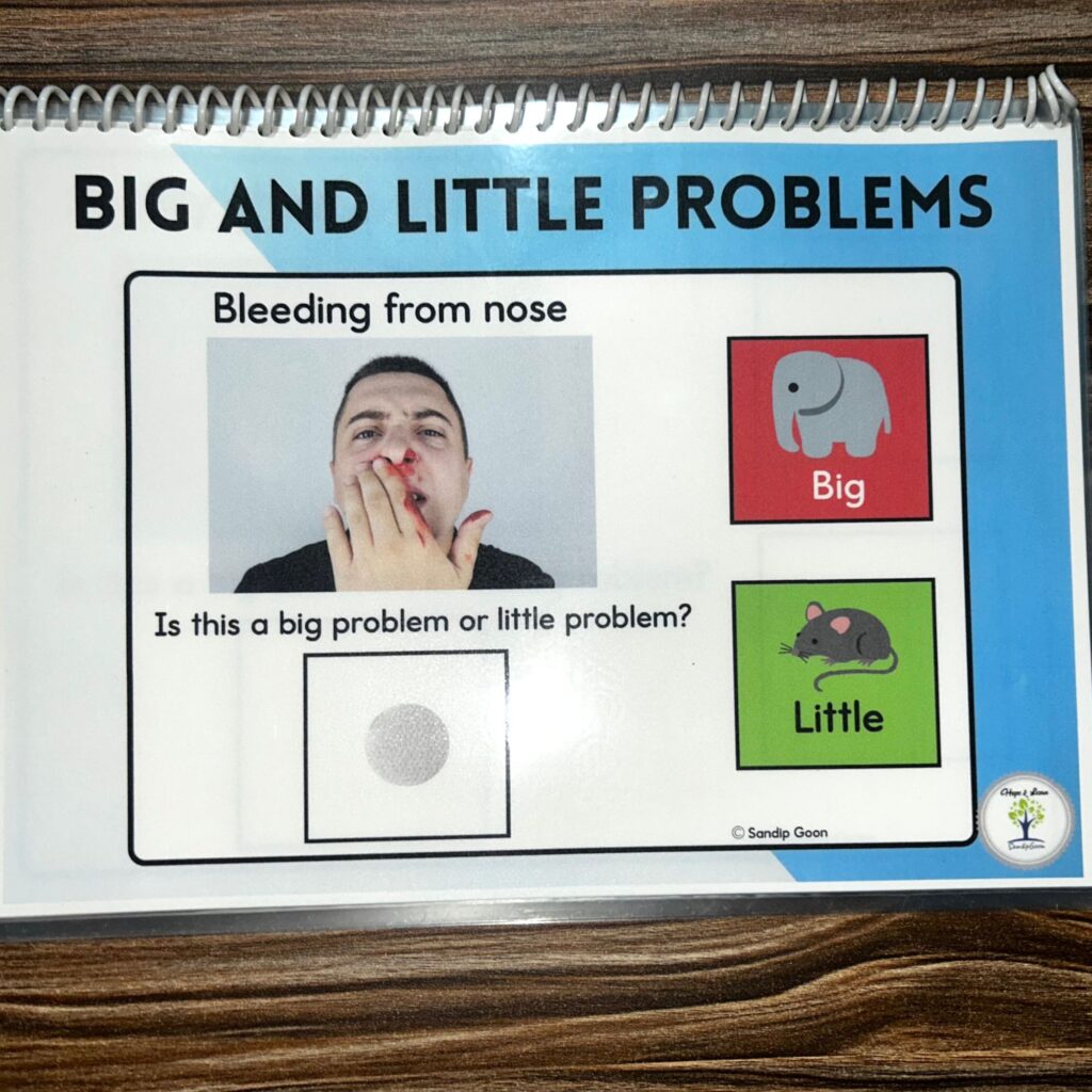 Identifying Big and Little Problems - Resource For Teacher
