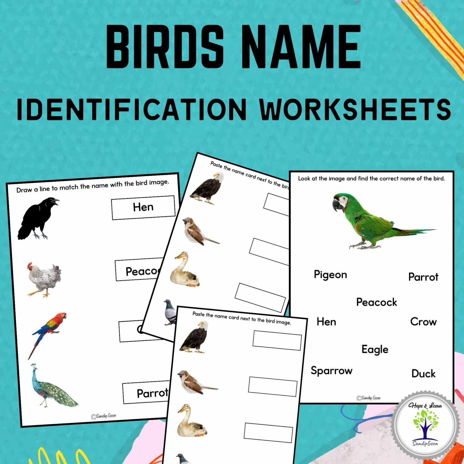 Free Birds Name Identification Worksheets - Resource For Teacher
