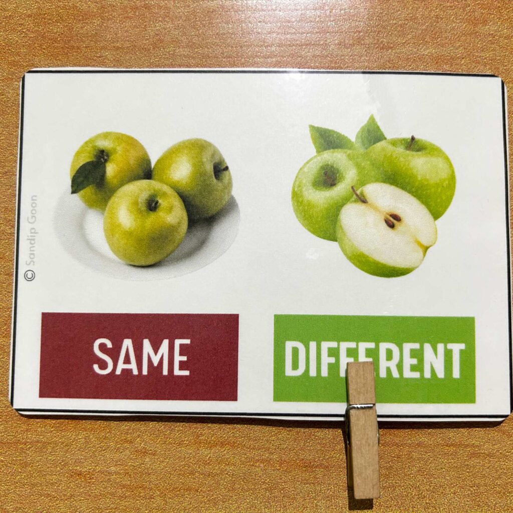 Same and Different Activity - Task Cards - Resource For Teacher