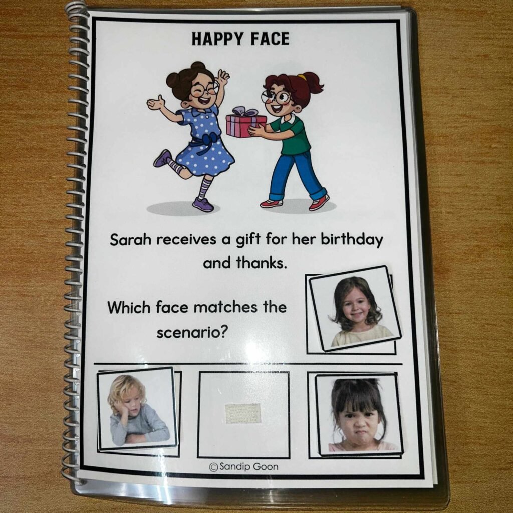 Emotions Matching Activity - Adapted Book - Resource For Teacher