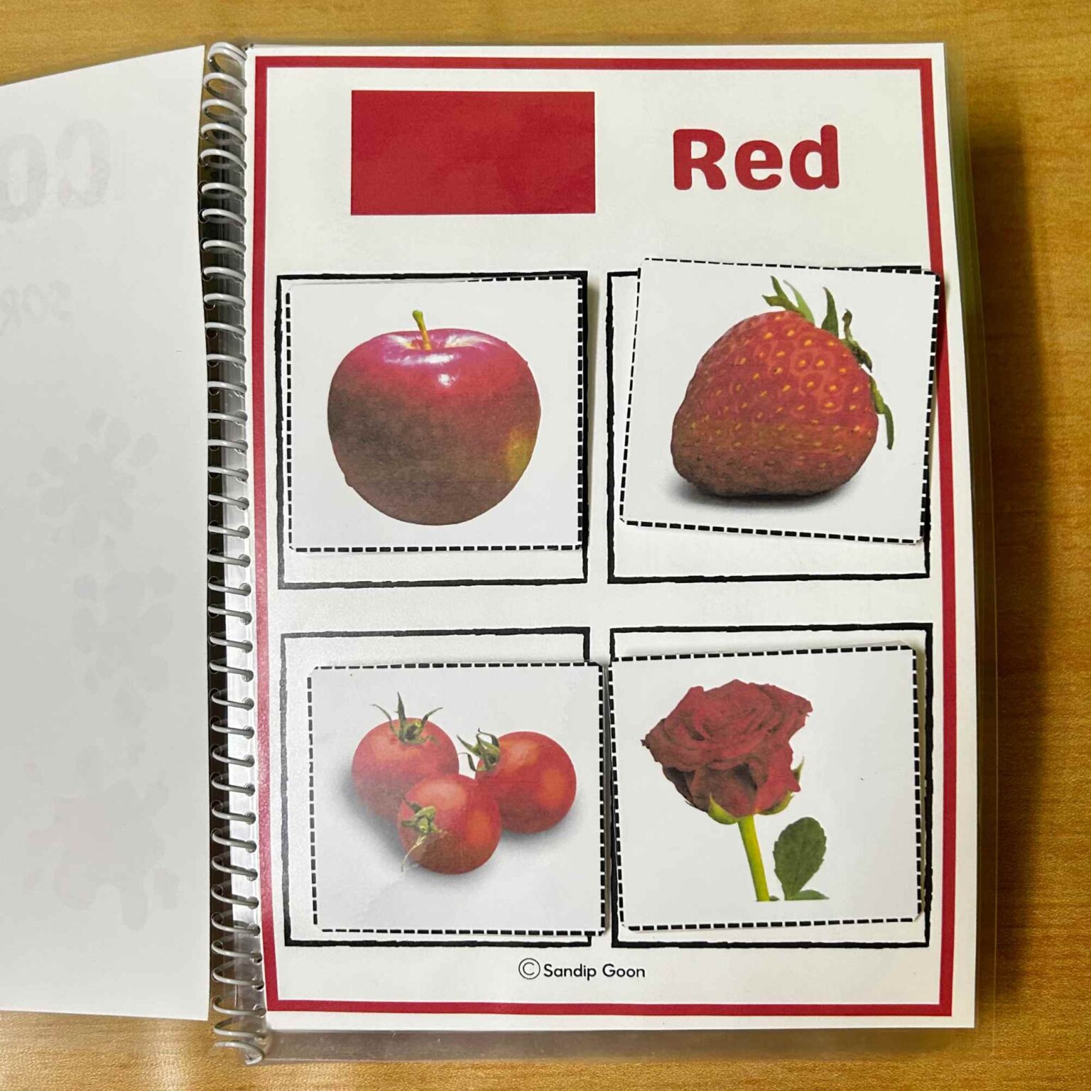 Colour Sorting Activity for Preschoolers - Resource For Teacher