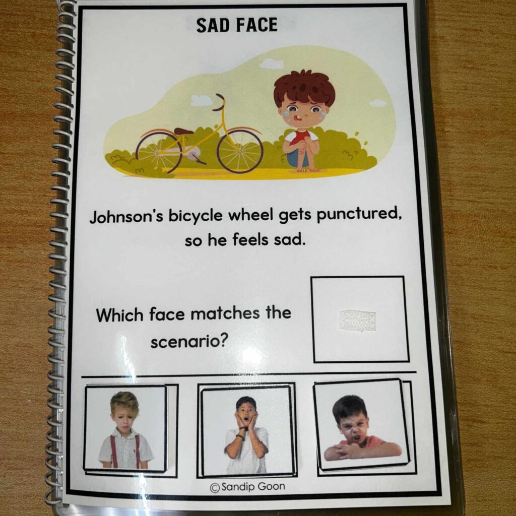 Emotions Matching Activity - Adapted Book - Resource For Teacher