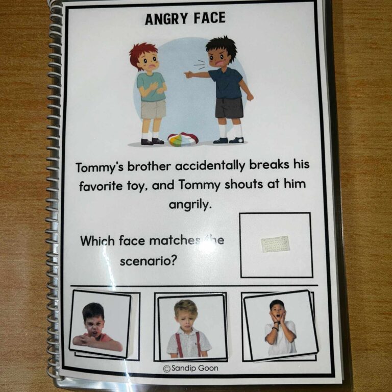 Emotions Matching Activity - Adapted Book - Resource For Teacher