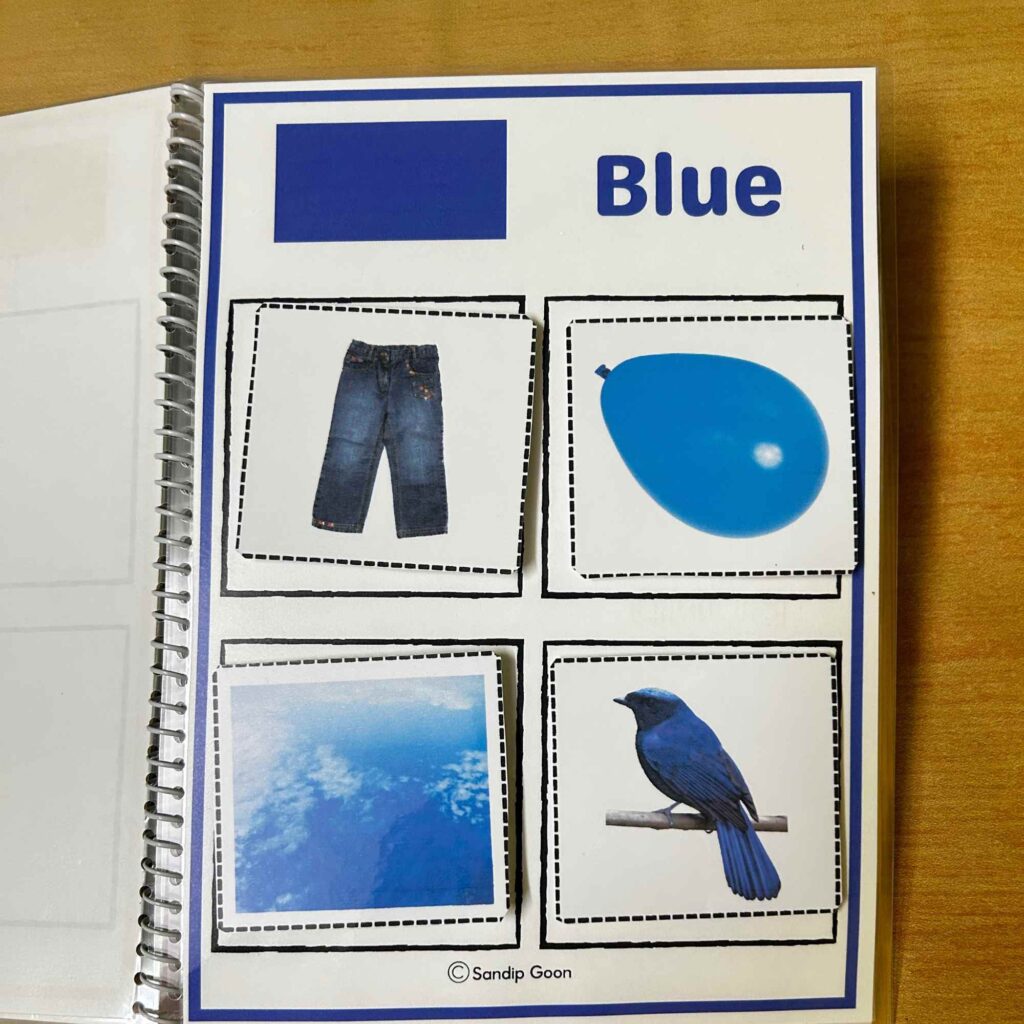 Colour Sorting Activity for Preschoolers - Resource For Teacher