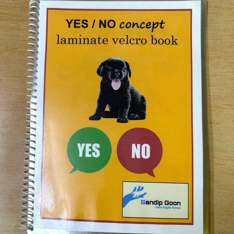 Yes No Visual for Speech Therapy - Resource For Teacher