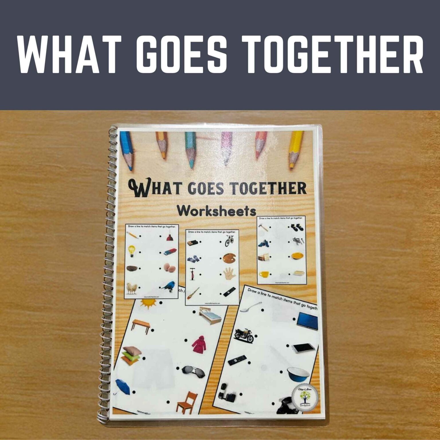 Yes No Visual for Speech Therapy - Resource For Teacher