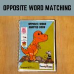 Problem Solving Scenarios Autism - Resource For Teacher