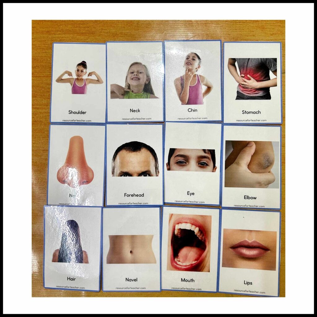 Body Parts Flash Cards - Resource For Teacher