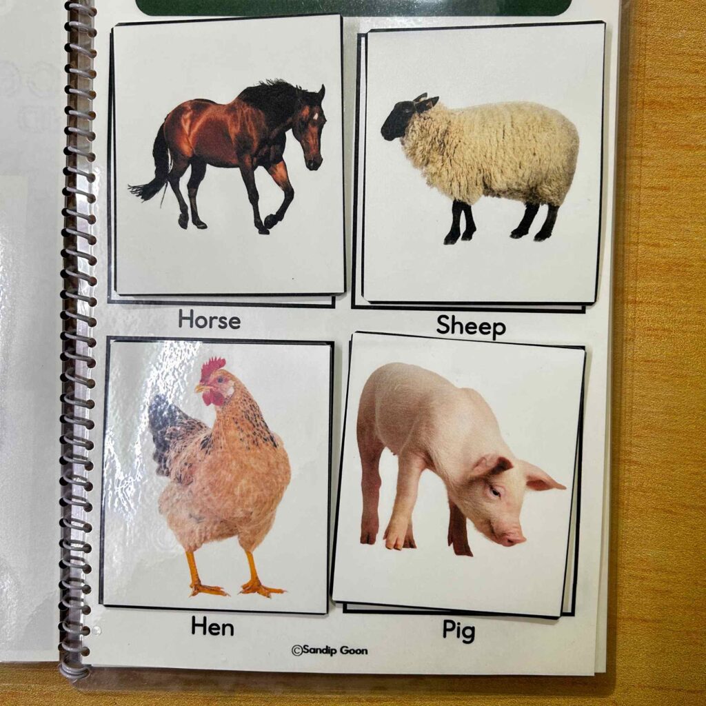 Domestic Animals Match the Following - Resource For Teacher