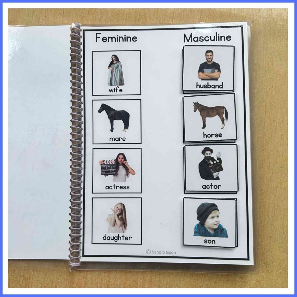 Masculine and Feminine Worksheet - Resource For Teacher