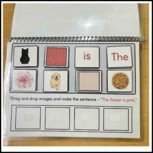 Sentence Building for Autism - Resource For Teacher