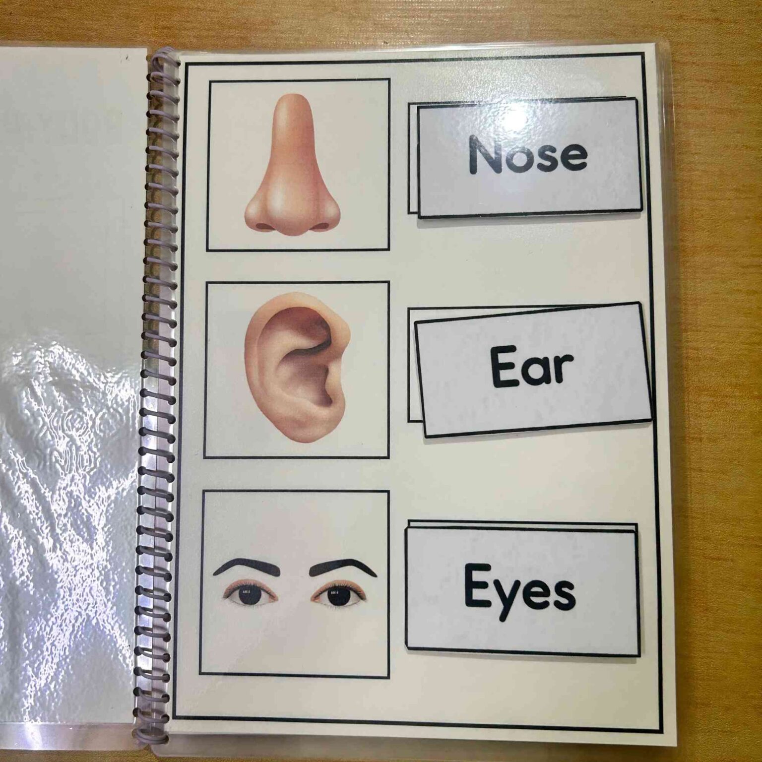 Body Parts Labelling Adapted Book for Autism - Resource For Teacher