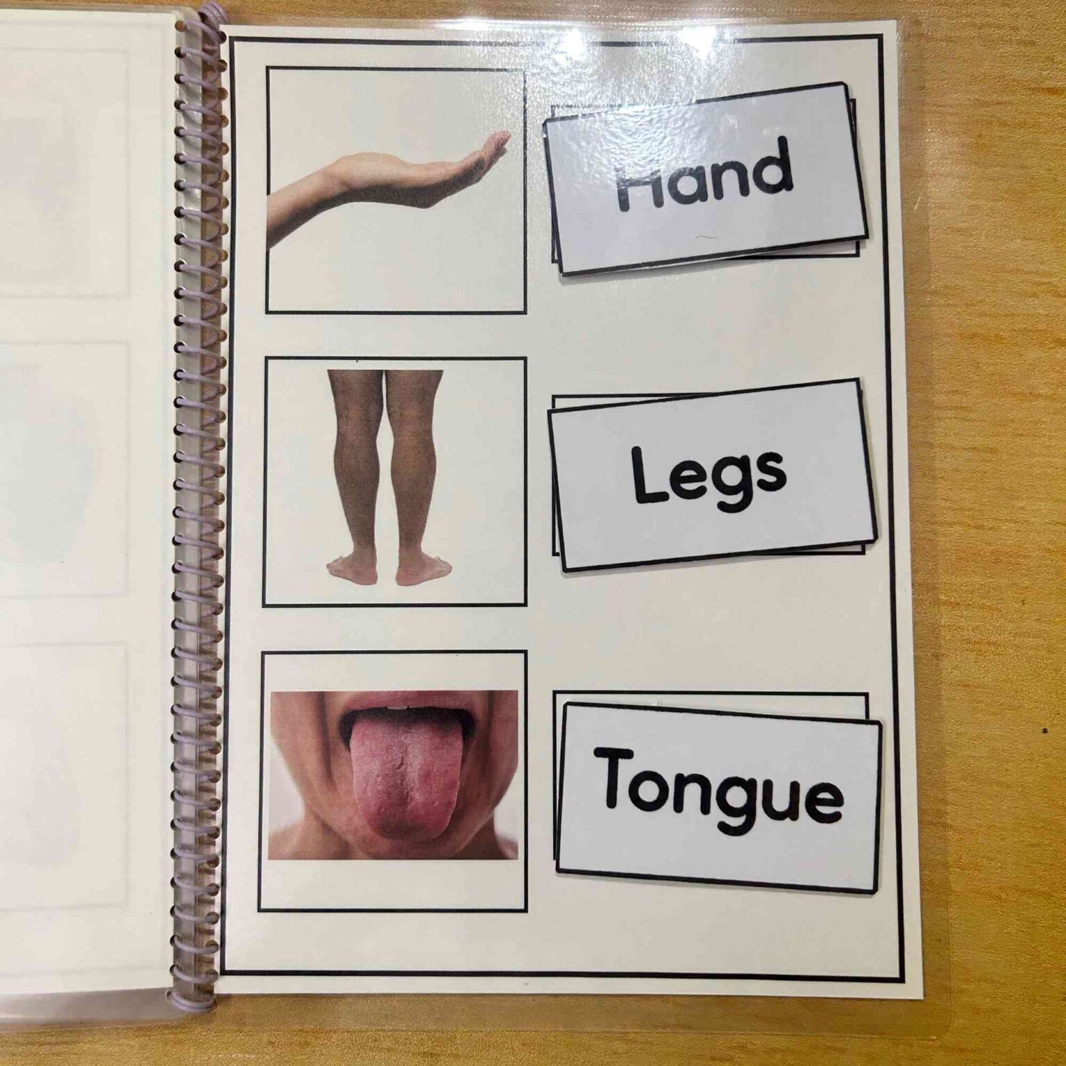 Body Parts Labelling Adapted Book for Autism - Resource For Teacher