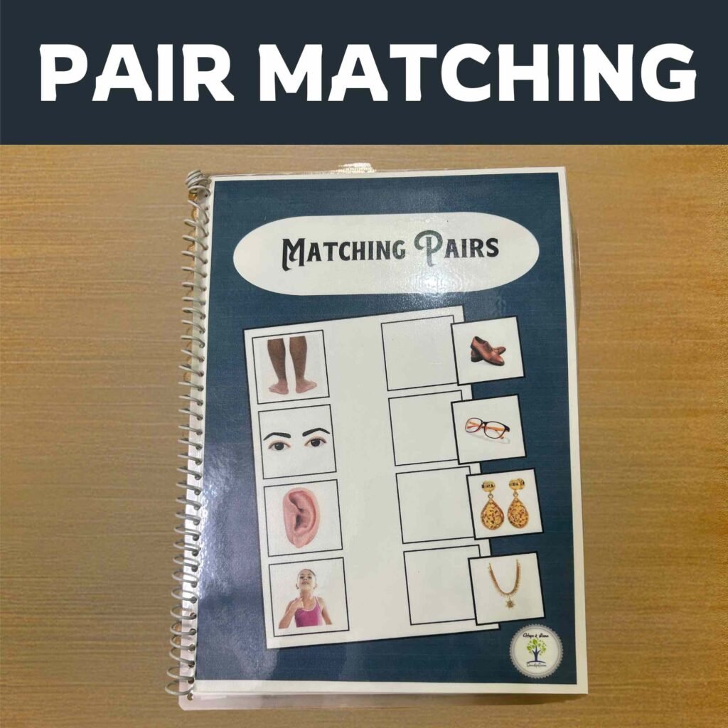 Matching Pairs of Everyday Objects - Resource For Teacher