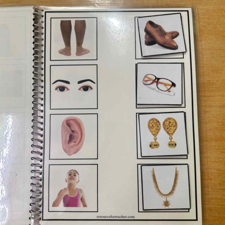 Matching Pairs of Everyday Objects - Resource For Teacher