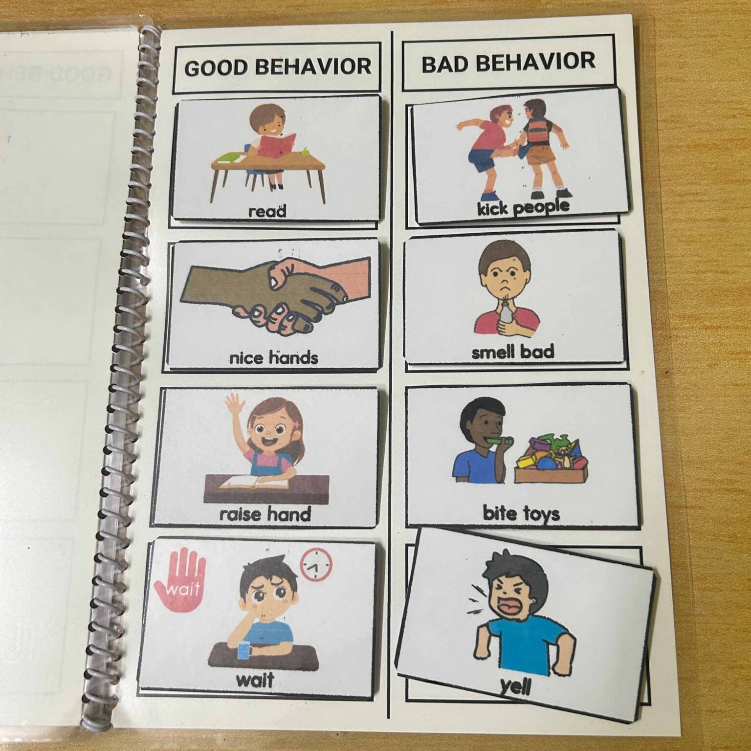 Sorting Good and Bad Behaviour - Resource For Teacher