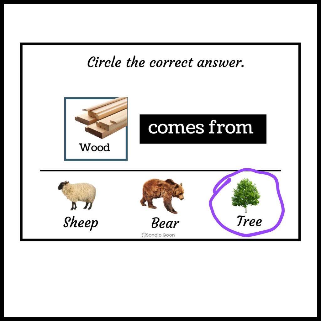 Natural and man Made Resources - Resource For Teacher