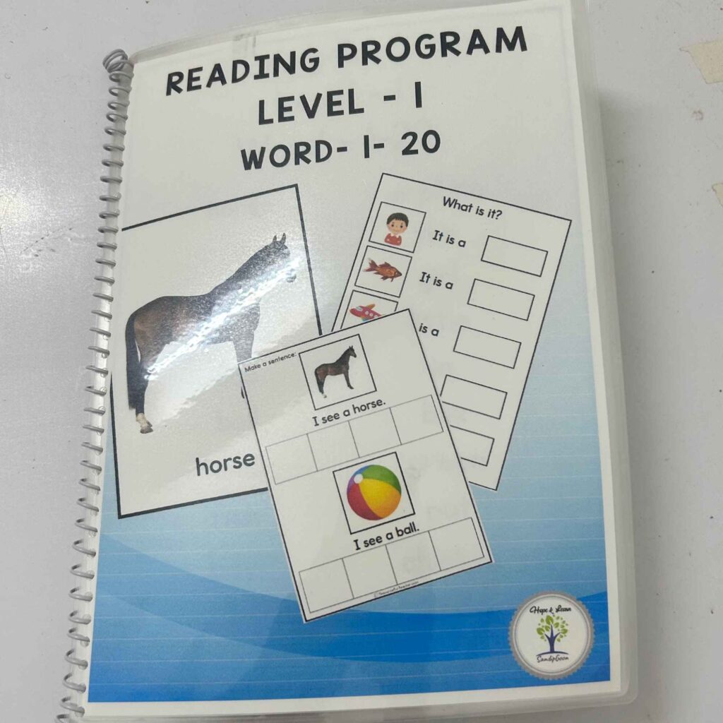 Yes No Visual for Speech Therapy - Resource For Teacher