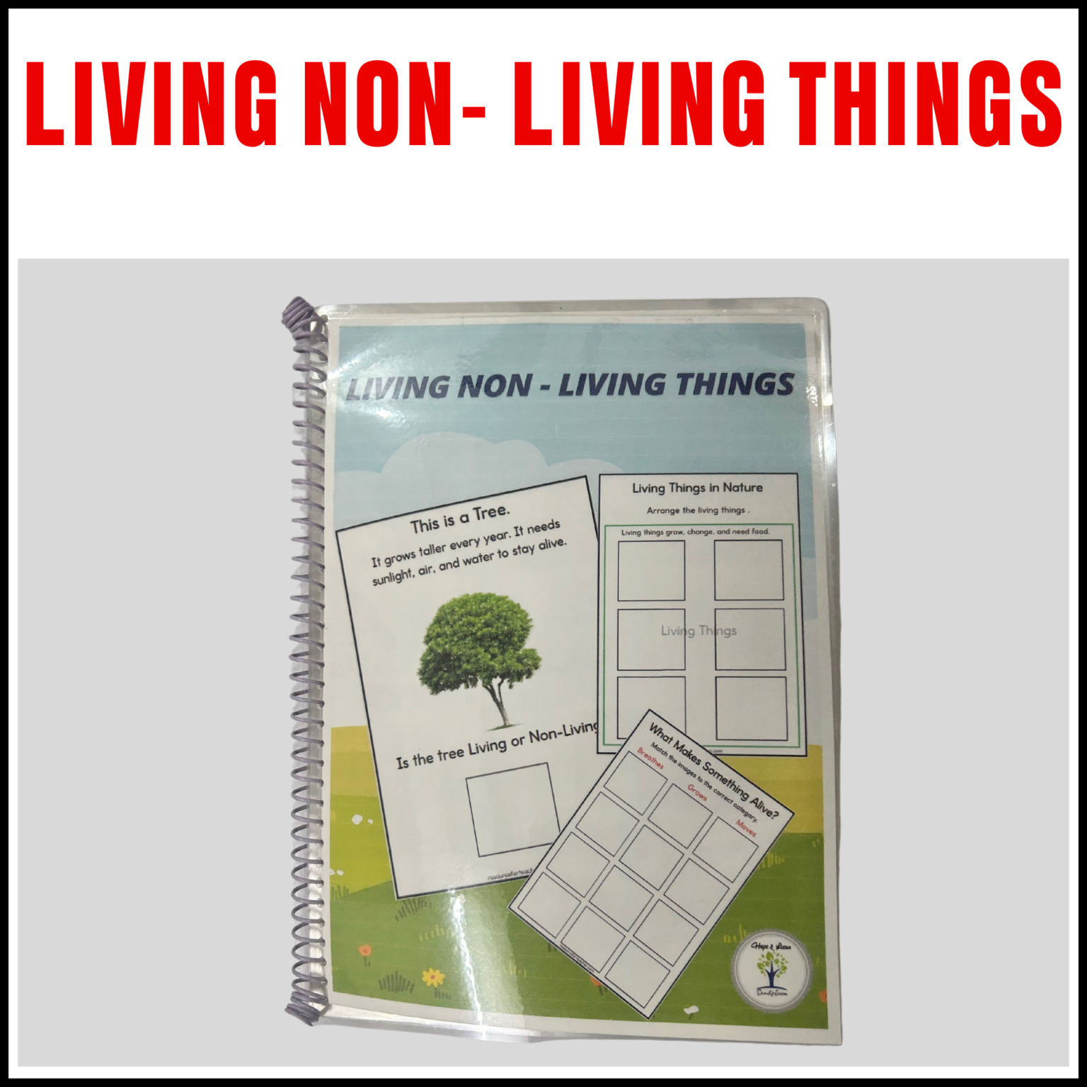 Living Non Living Worksheet - Resource For Teacher