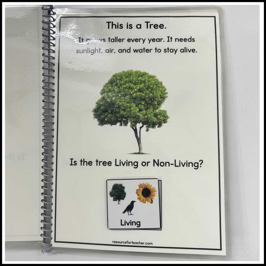Living Non Living Worksheet - Resource For Teacher