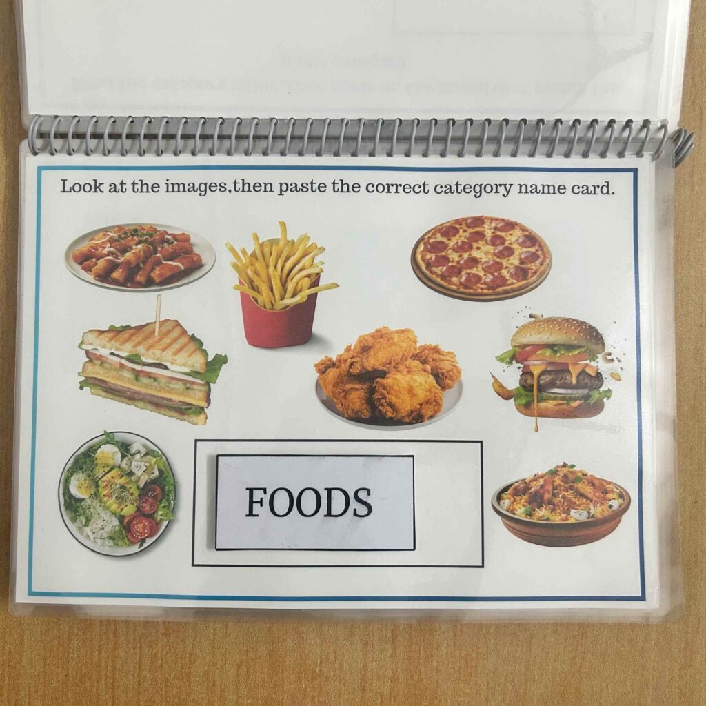 Matching Non Identical Pictures - Resource For Teacher