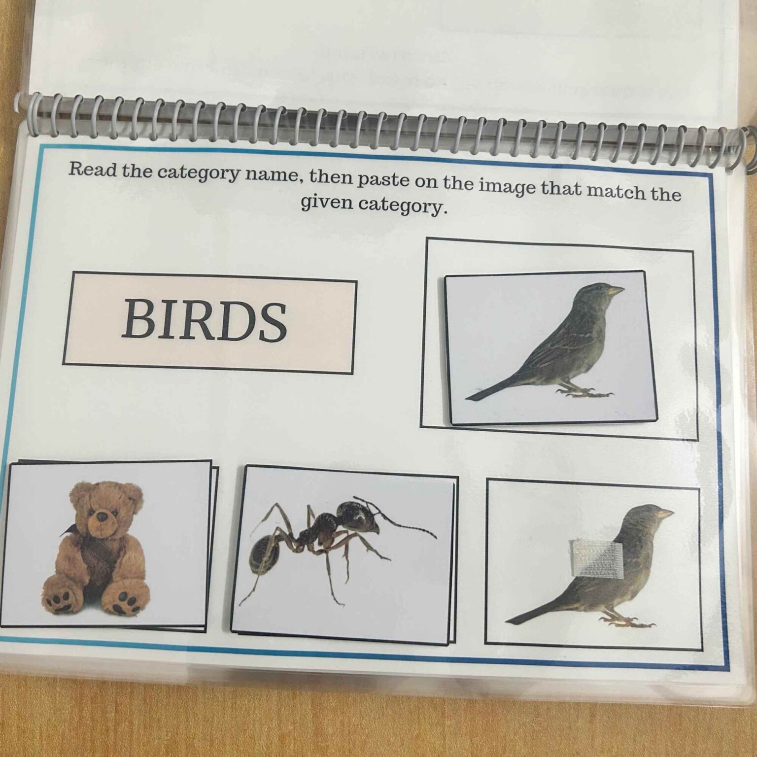 Matching Non Identical Pictures - Resource For Teacher