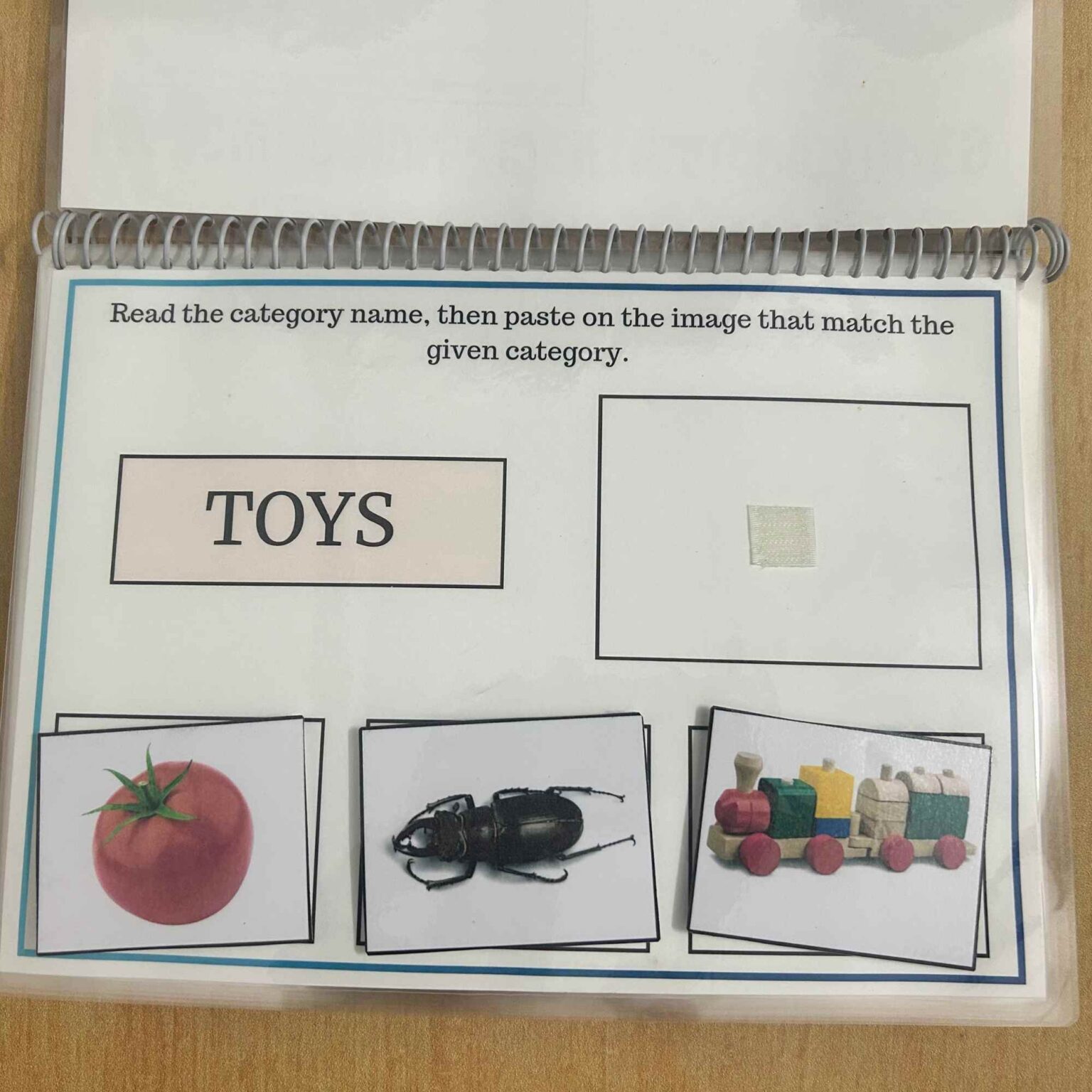 Matching Non Identical Pictures - Resource For Teacher