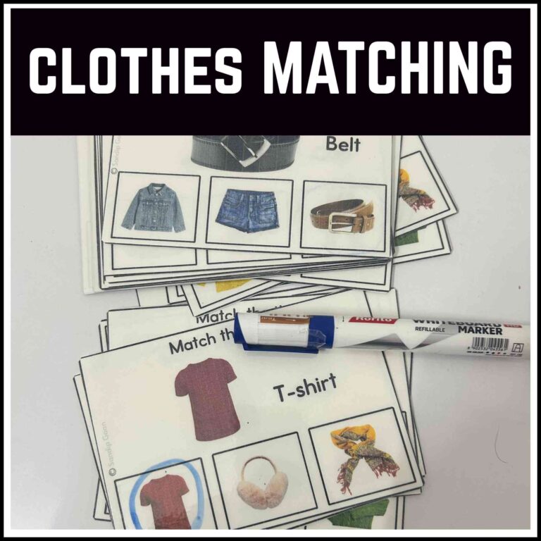 Clothes Matching Task Cards - Resource For Teacher