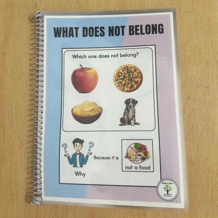 Yes No Visual for Speech Therapy - Resource For Teacher