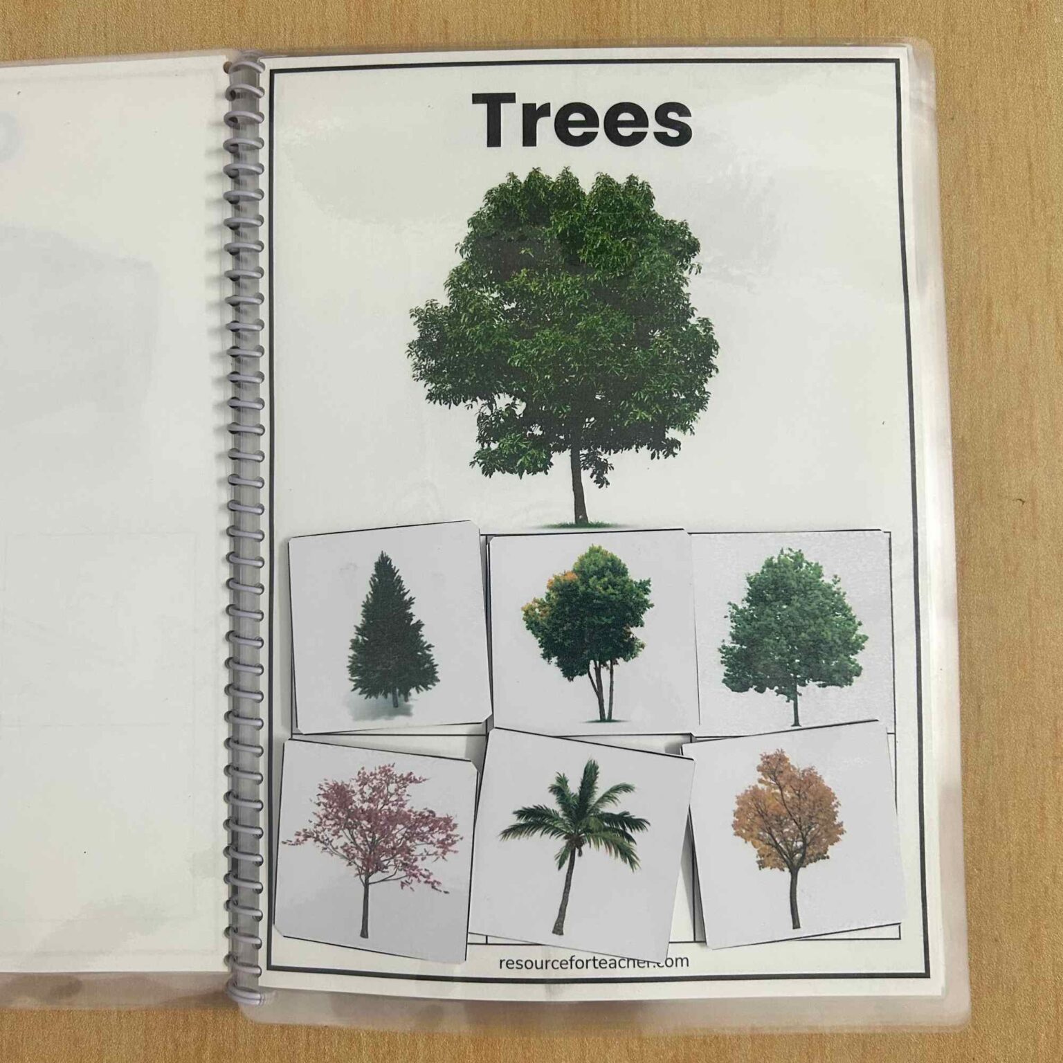 Non-Identical Matching Picture - Resource For Teacher