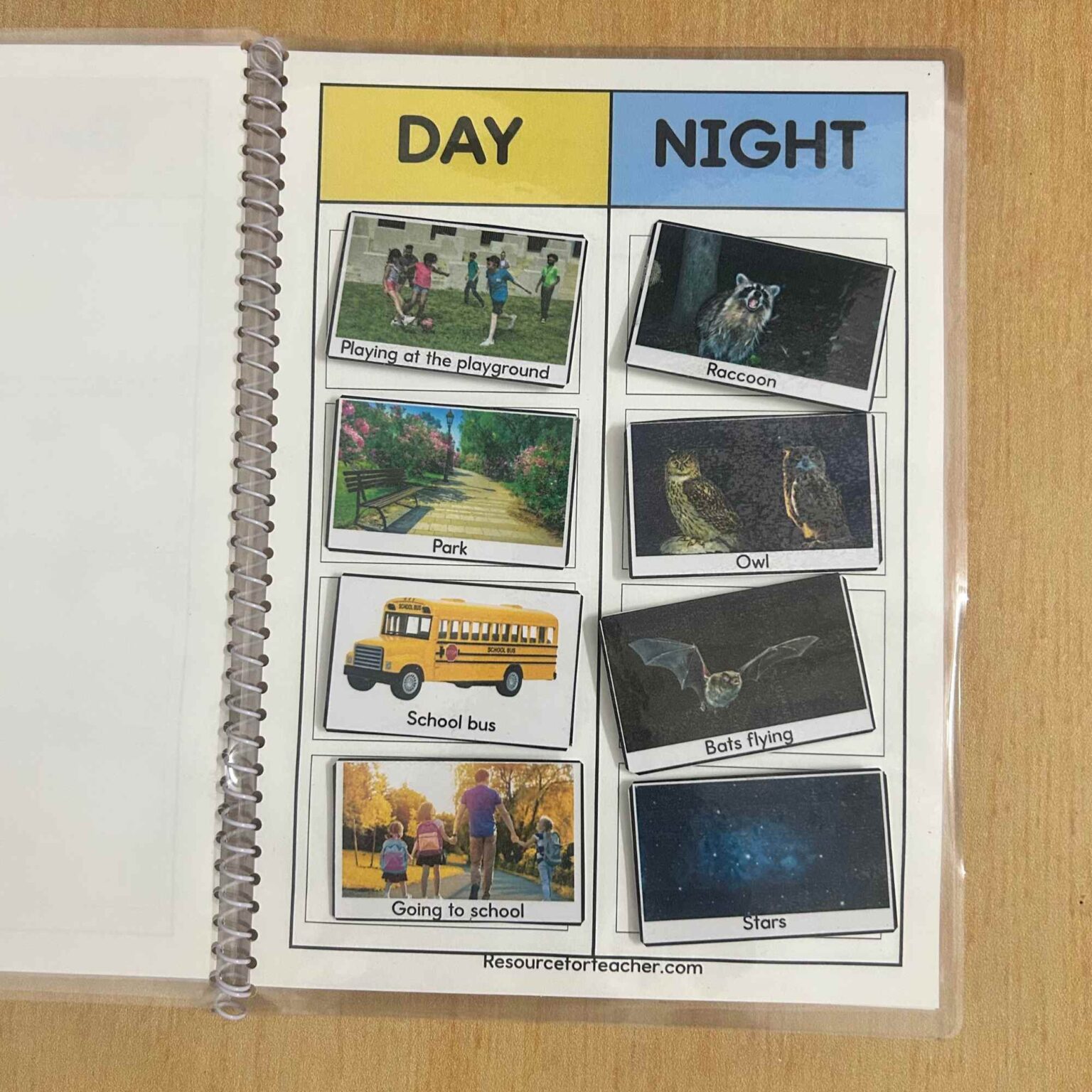Day And Night Sort Activities - Resource For Teacher