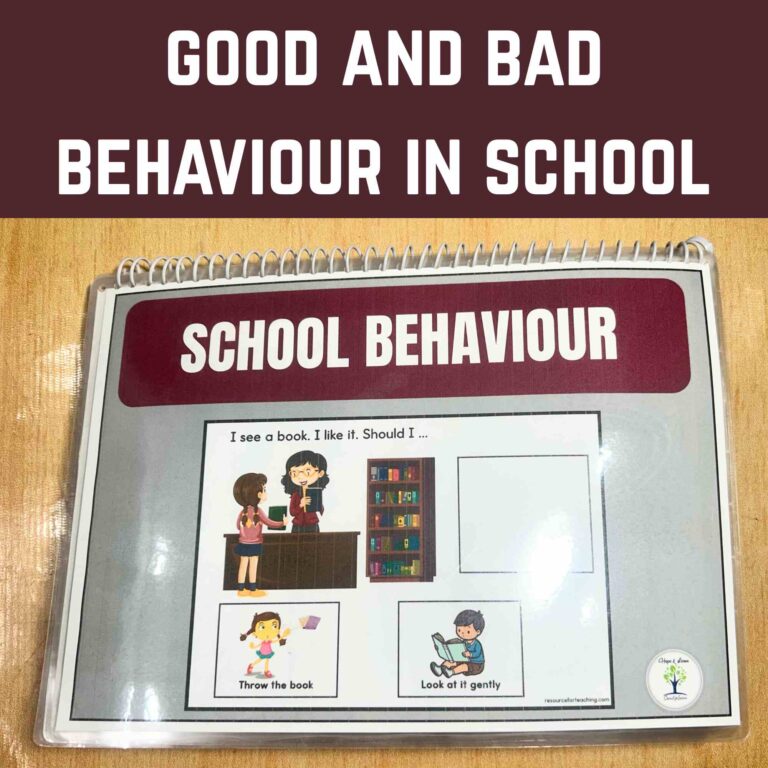 Good and Bad Behaviour in School - Resource For Teacher