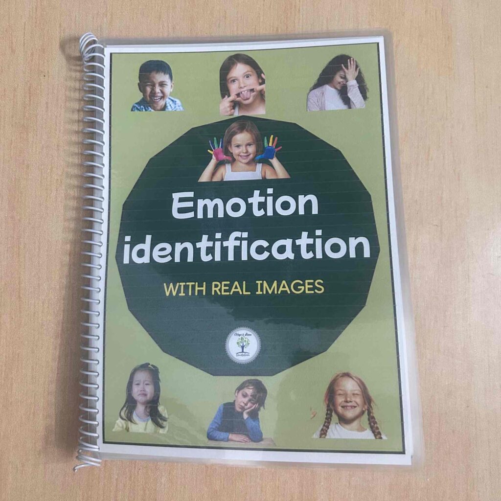 Feelings and Emotions Cut and Paste Adapted Book - Resource For Teacher