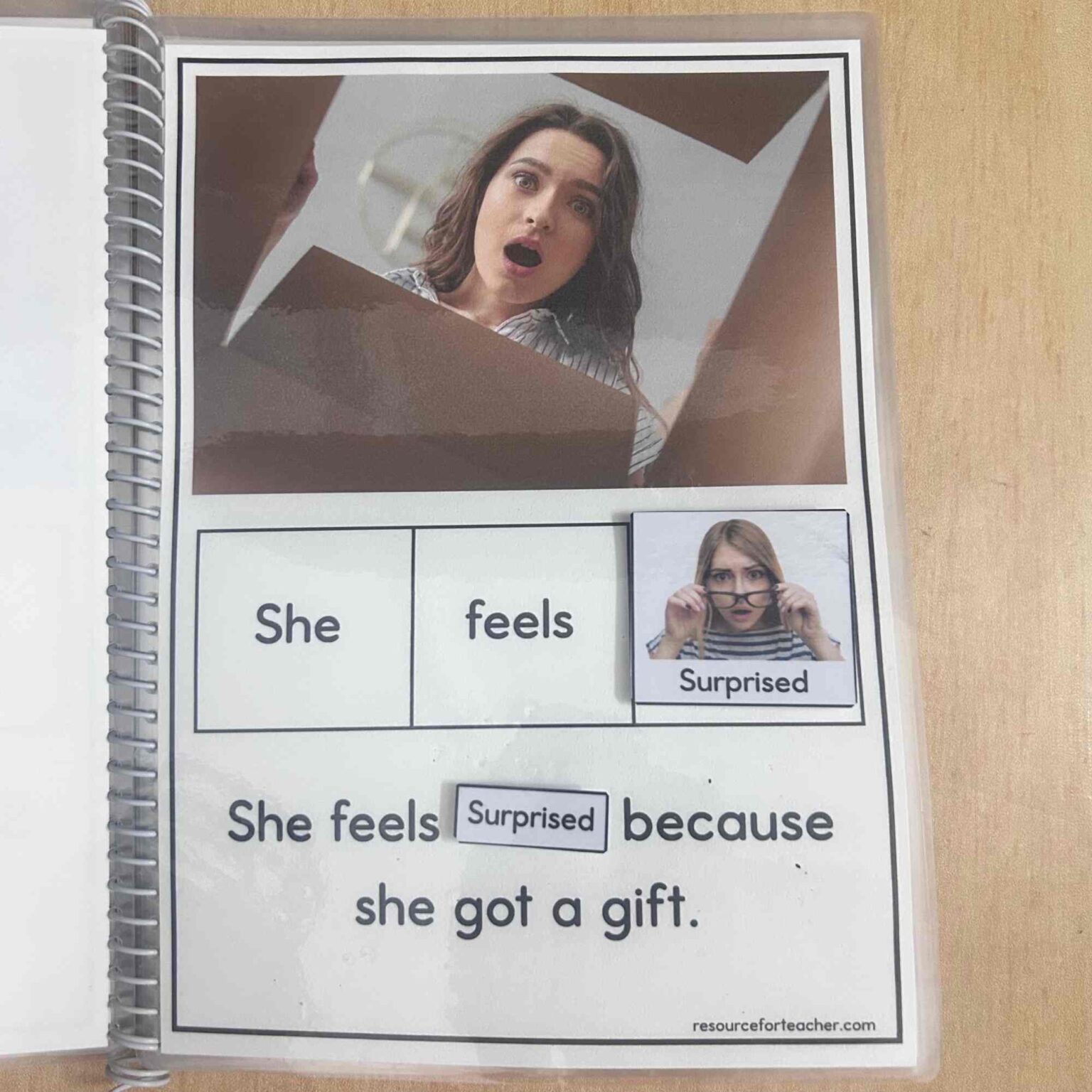 Feelings and Emotions Cut and Paste Adapted Book - Resource For Teacher