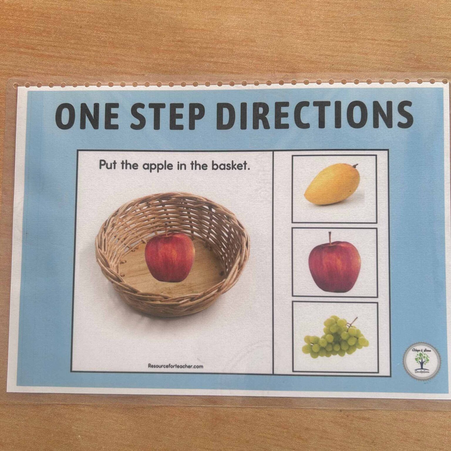 One Step Directions for Speech Therapy - Resource For Teacher