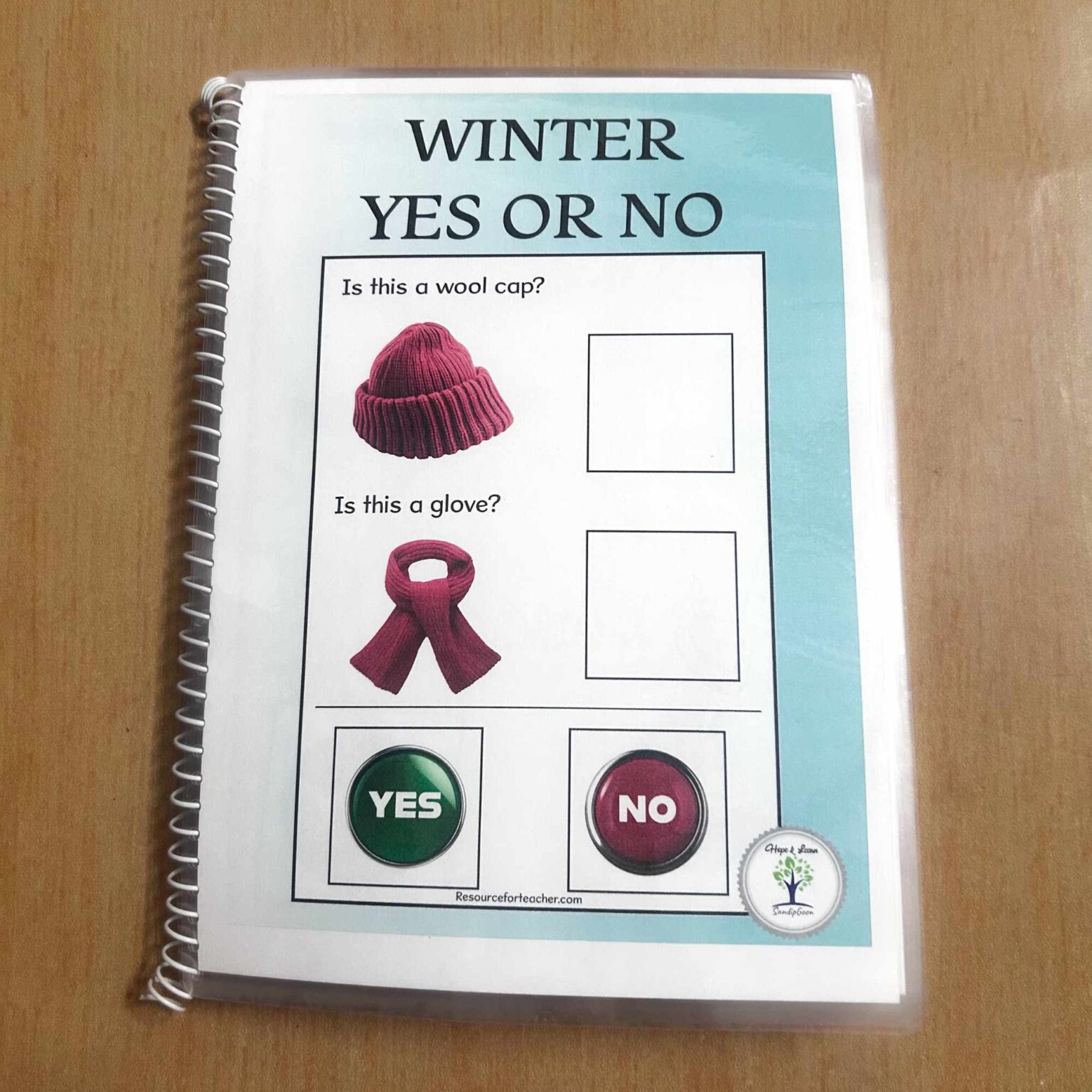 Winter Yes or No Questions for Speech Therapy - Resource For Teacher