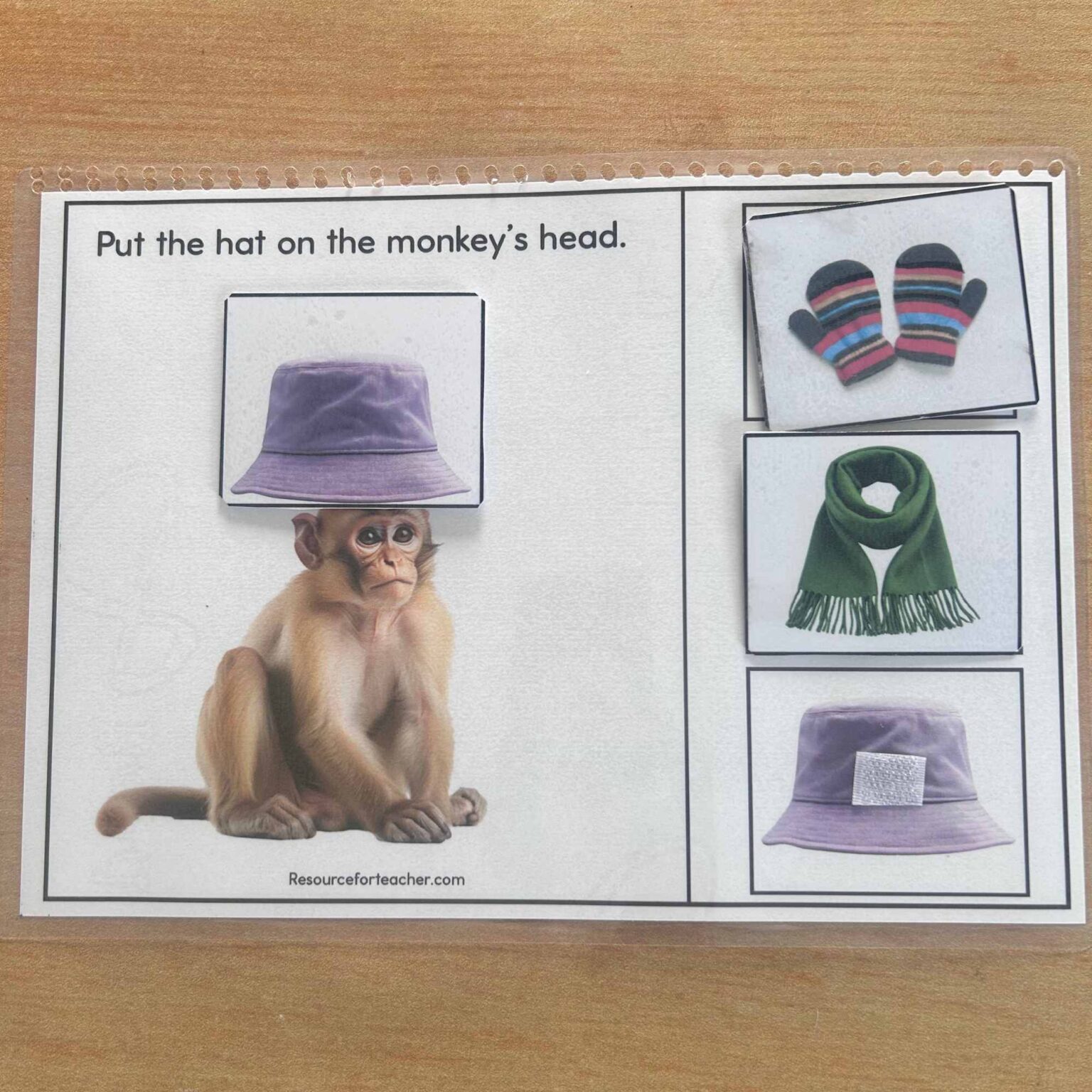 One Step Directions for Speech Therapy - Resource For Teacher