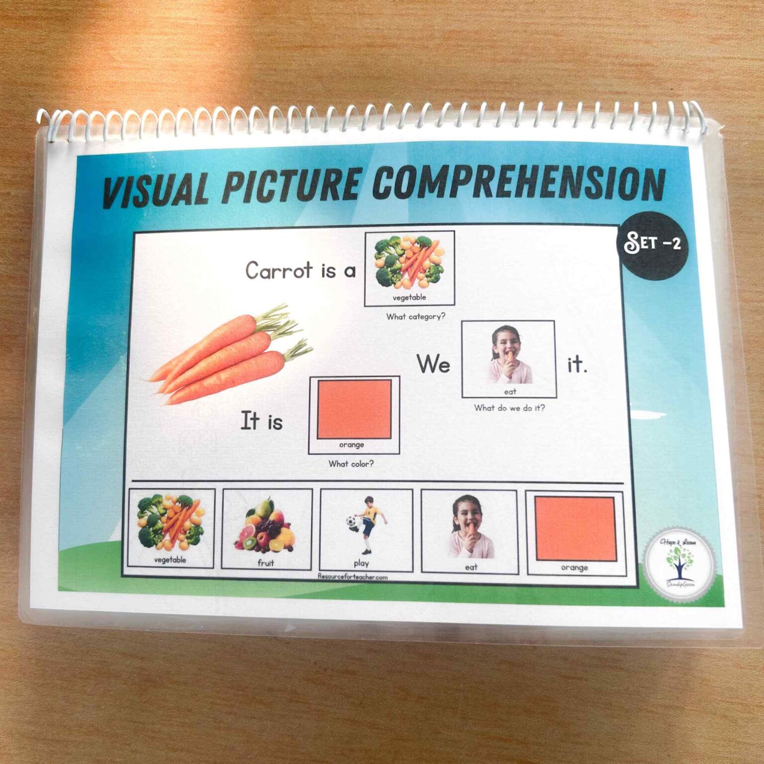 Visual Picture Comprehension with WH Questions - Resource For Teacher