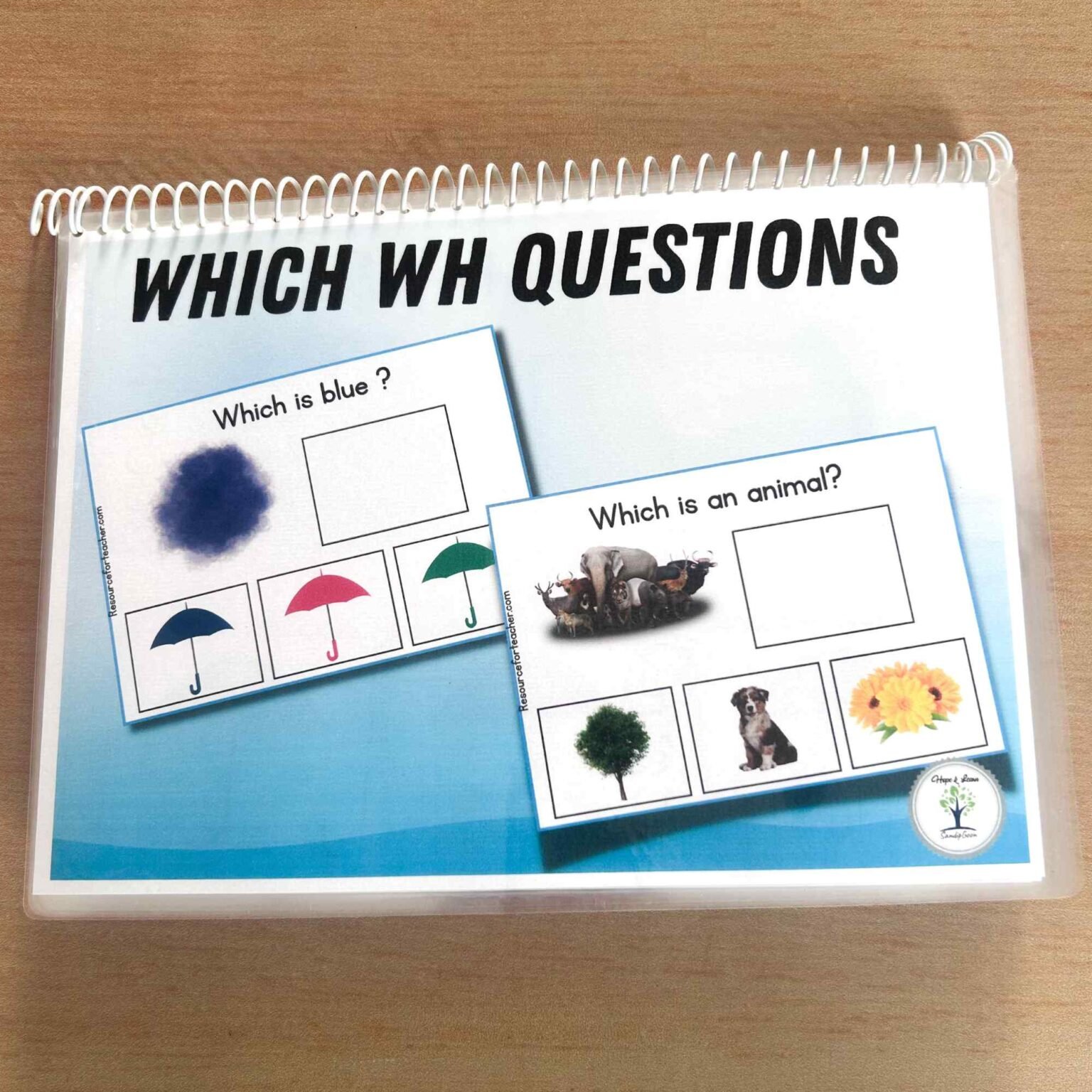 Which WH Questions for Speech Therapy - Resource For Teacher